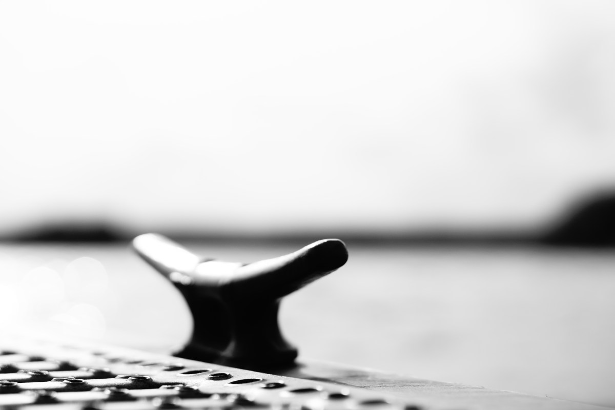 Wronging, Reckoning, Writing | A Year in the Blue House